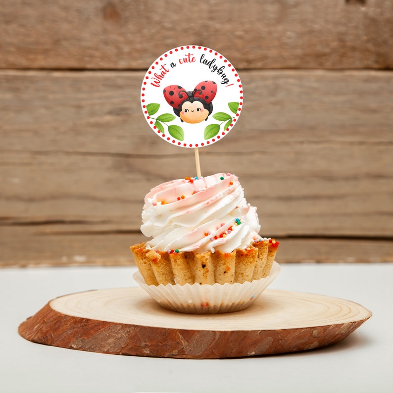 Ladybug Cupcake Toppers Ladybug Cake Topper One Ladybug Party - Etsy