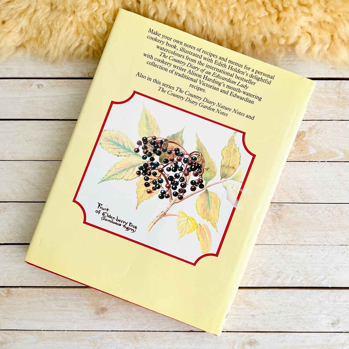 Vintage Cookery Notes Book / the Country Diary / Edith Holden and ...