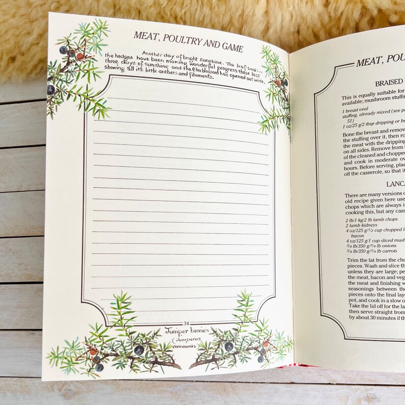 Vintage Cookery Notes Book / the Country Diary / Edith Holden and ...