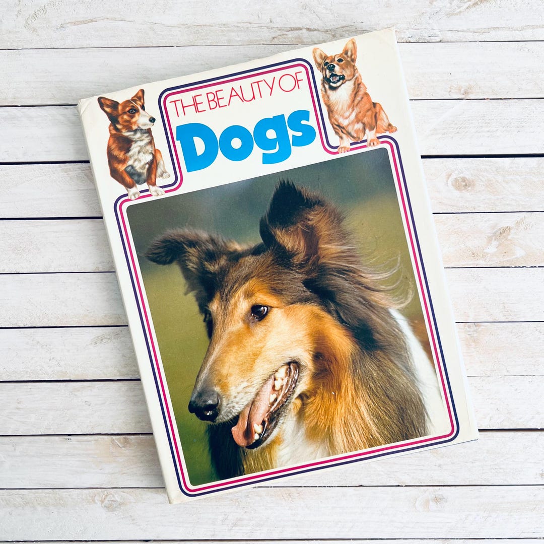 1972 the Beauty of Dogs / Dog Breed Reference Book by Kenneth Bailey ...