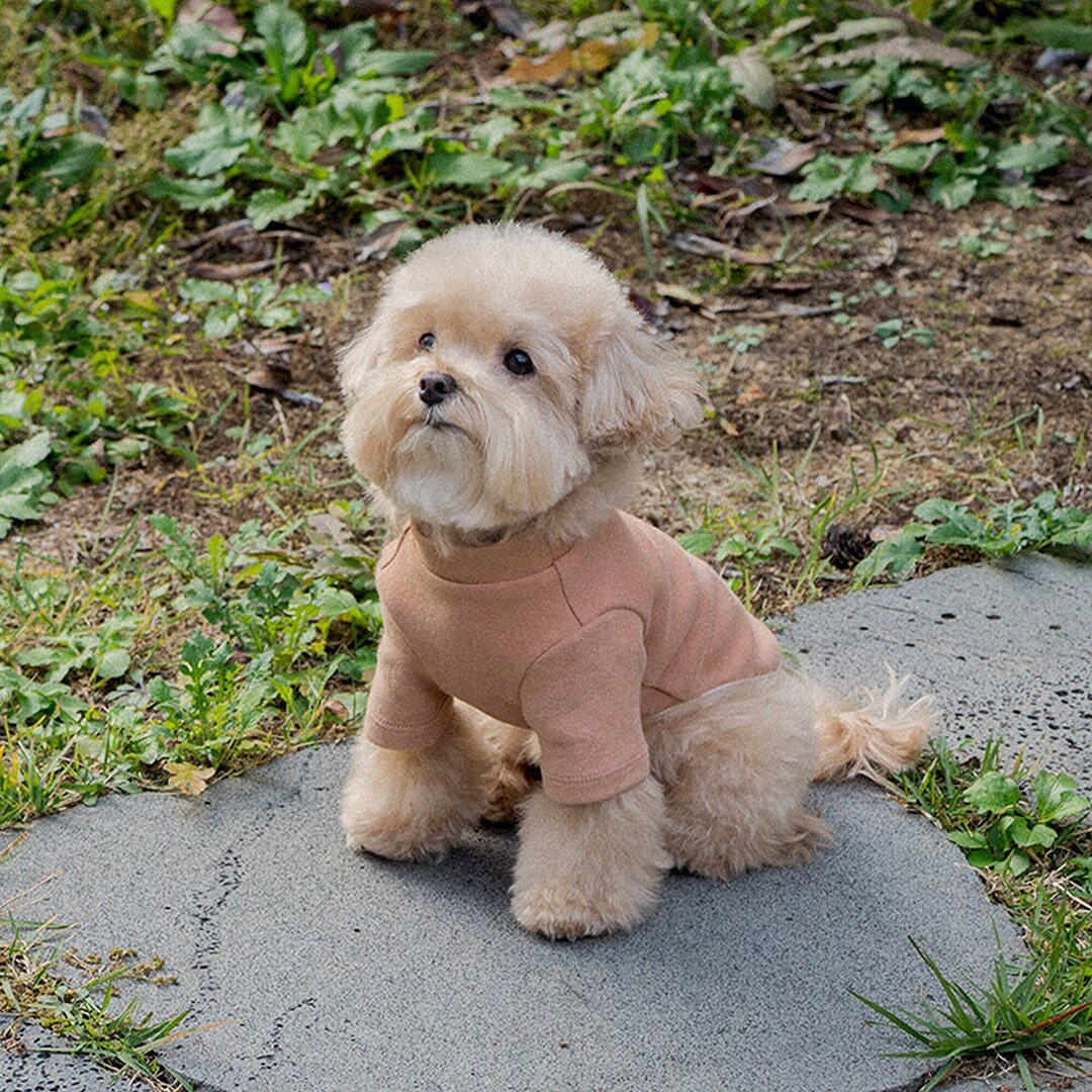 Cozy Turtleneck Top Dog Turtleneck Dog Shirt Tops Dog T-shirt Dog ...