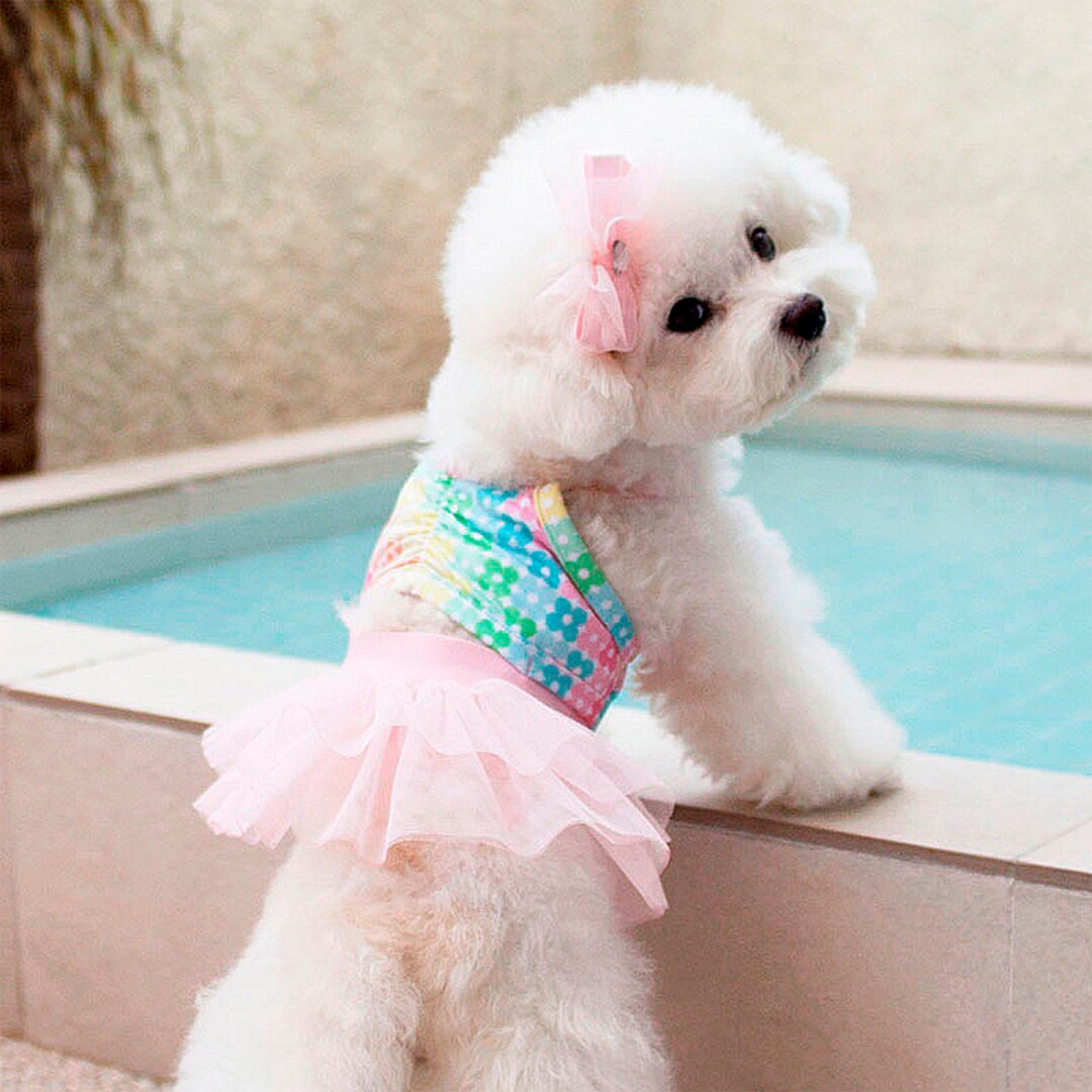 Jenna Tutu Swimwear Dog Swimwear Dog Swimsuit Dog Bikini Puppy Swimwear ...