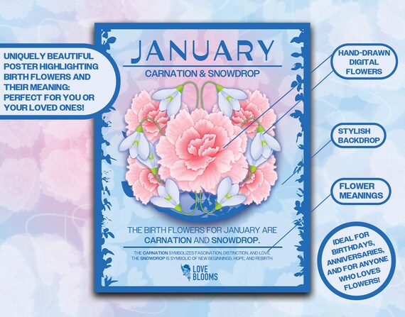 January Birth Flower Meaning