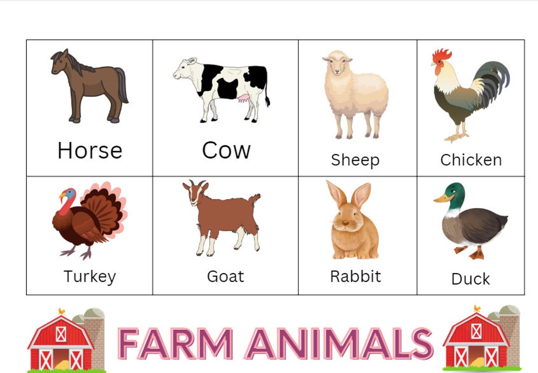 Farm Nimals for Kids - Etsy