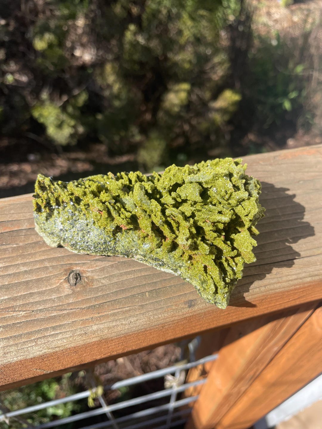 Forest Green Epidote in Quartz 4 Inch Specimen From Turkey - Etsy