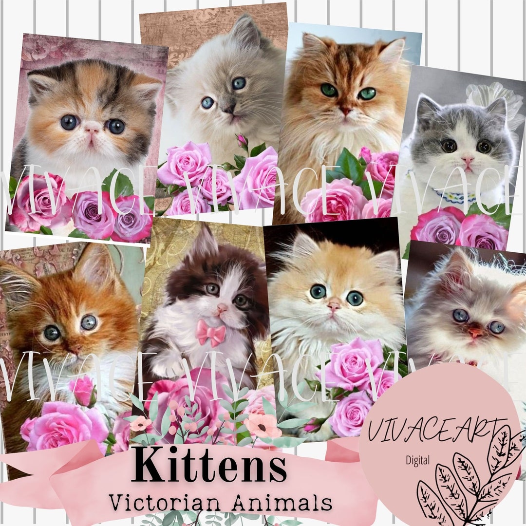 Cat Ephemera, Victorian Printable Ephemera, Junk Journal Kit, Vintage ...
