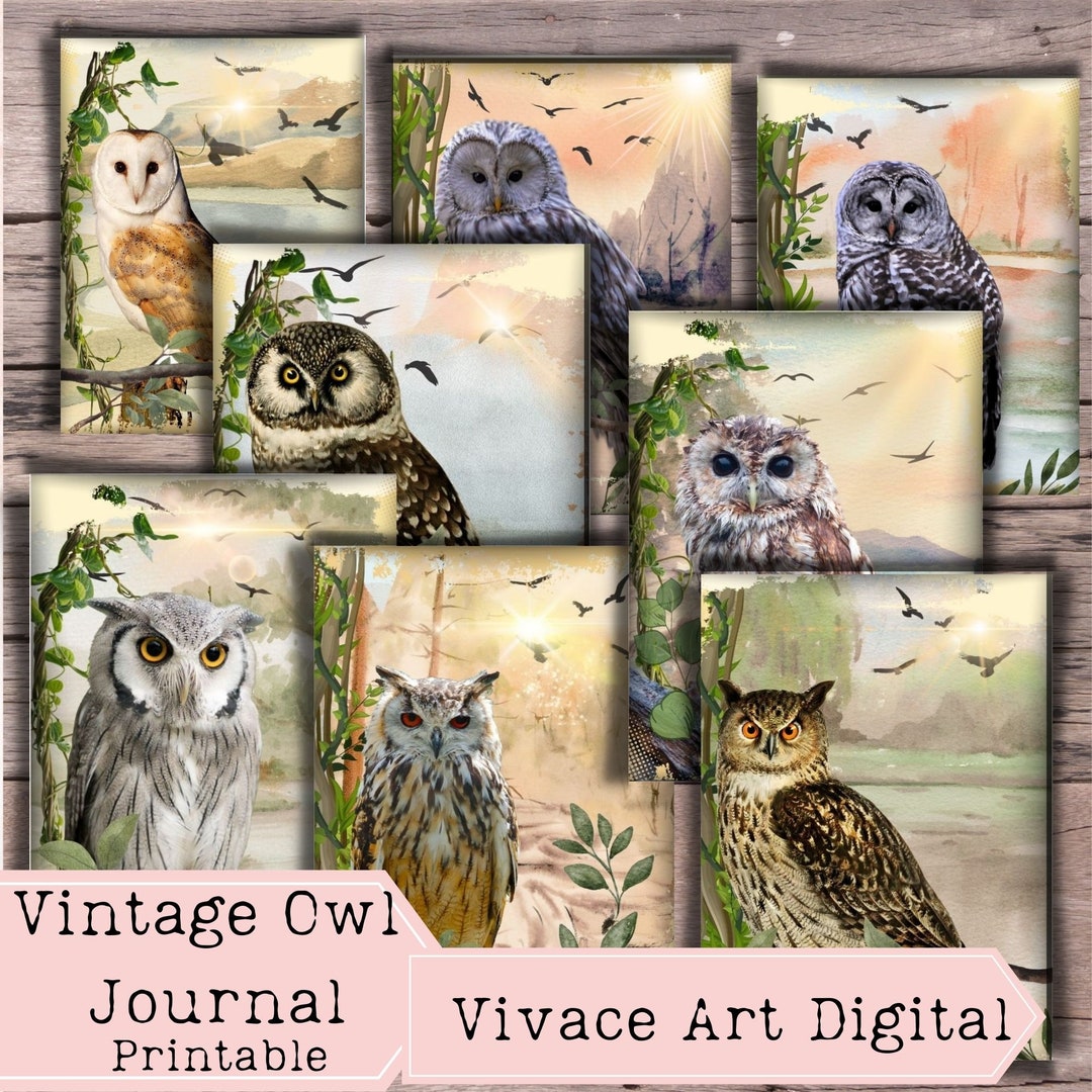 Vintage Owl Journal Ephemera, Vintage Owl Journal Tags, Owl Cards, Owl ...