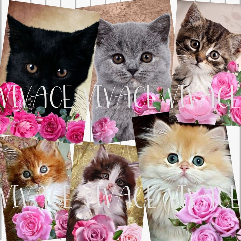 Cat Ephemera Victorian Printable Ephemera Junk Journal Kit - Etsy