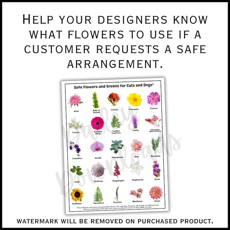Flower Shop Poster | Safe Flowers for Cats and Dogs | Safe Flowers and ...