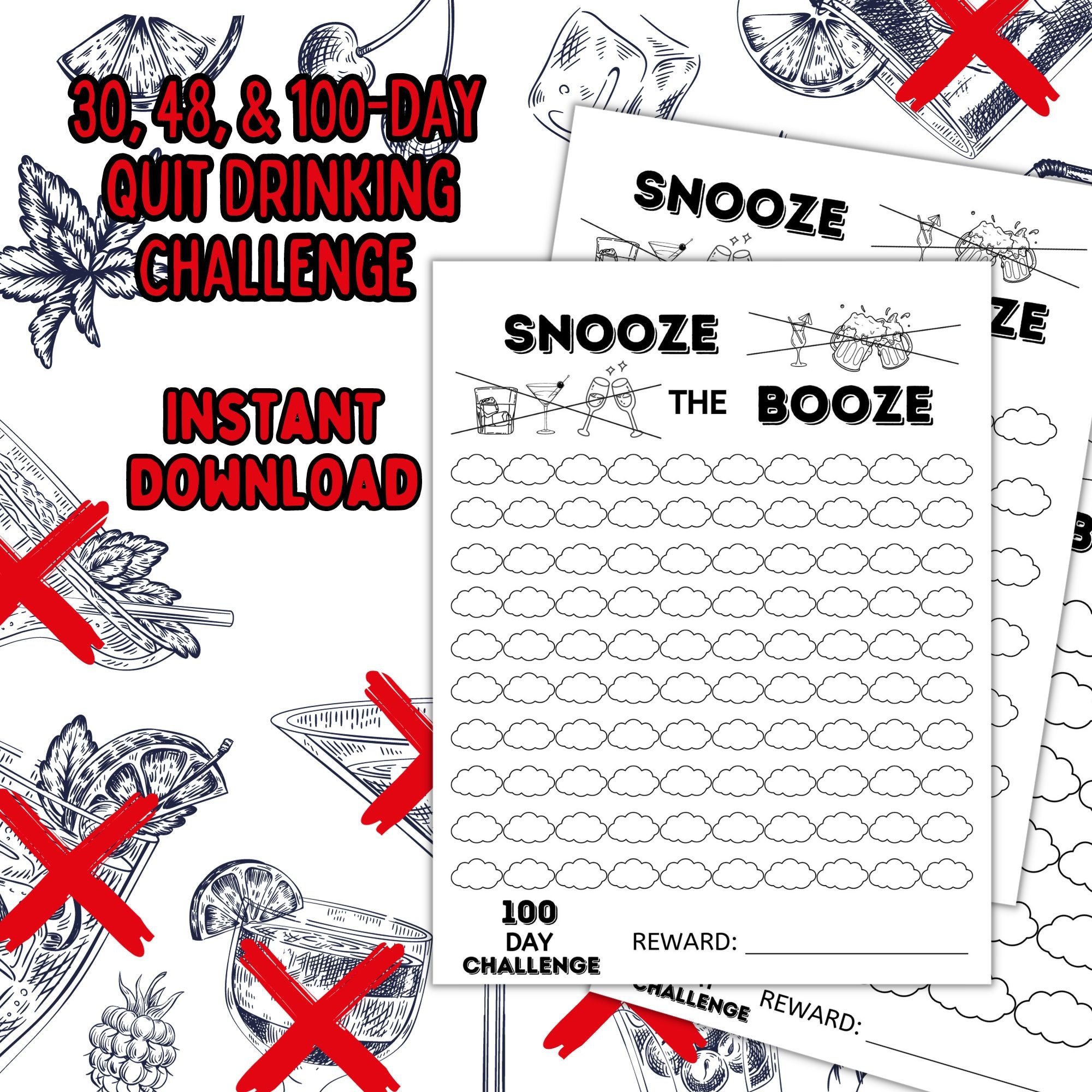 No Alcohol Challenge, No Booze Chart, Alcohol Detox, 100 Day Challenge ...