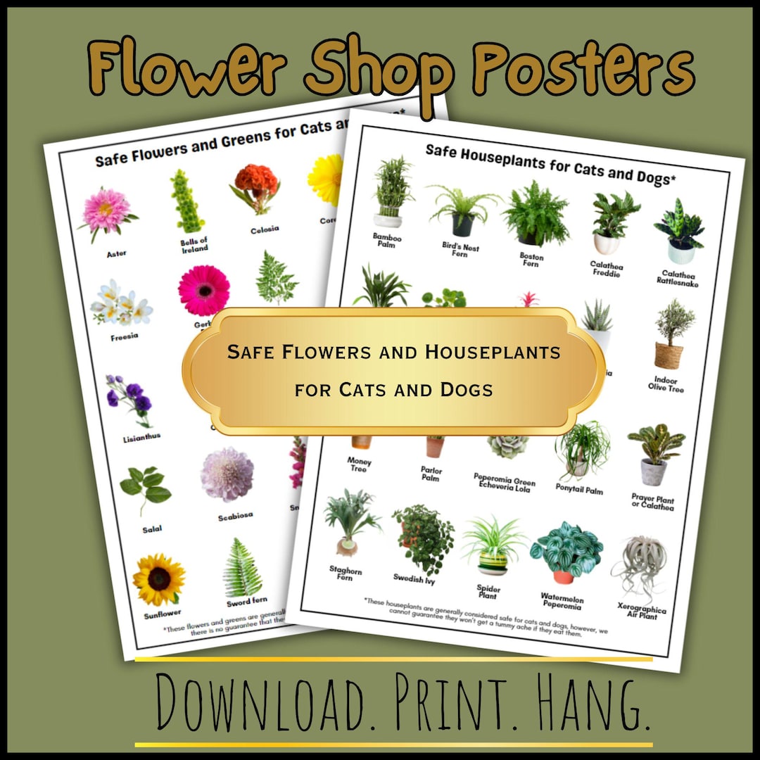 Flower Shop Posters | Safe Flowers and Houseplants for Cats and Dogs ...