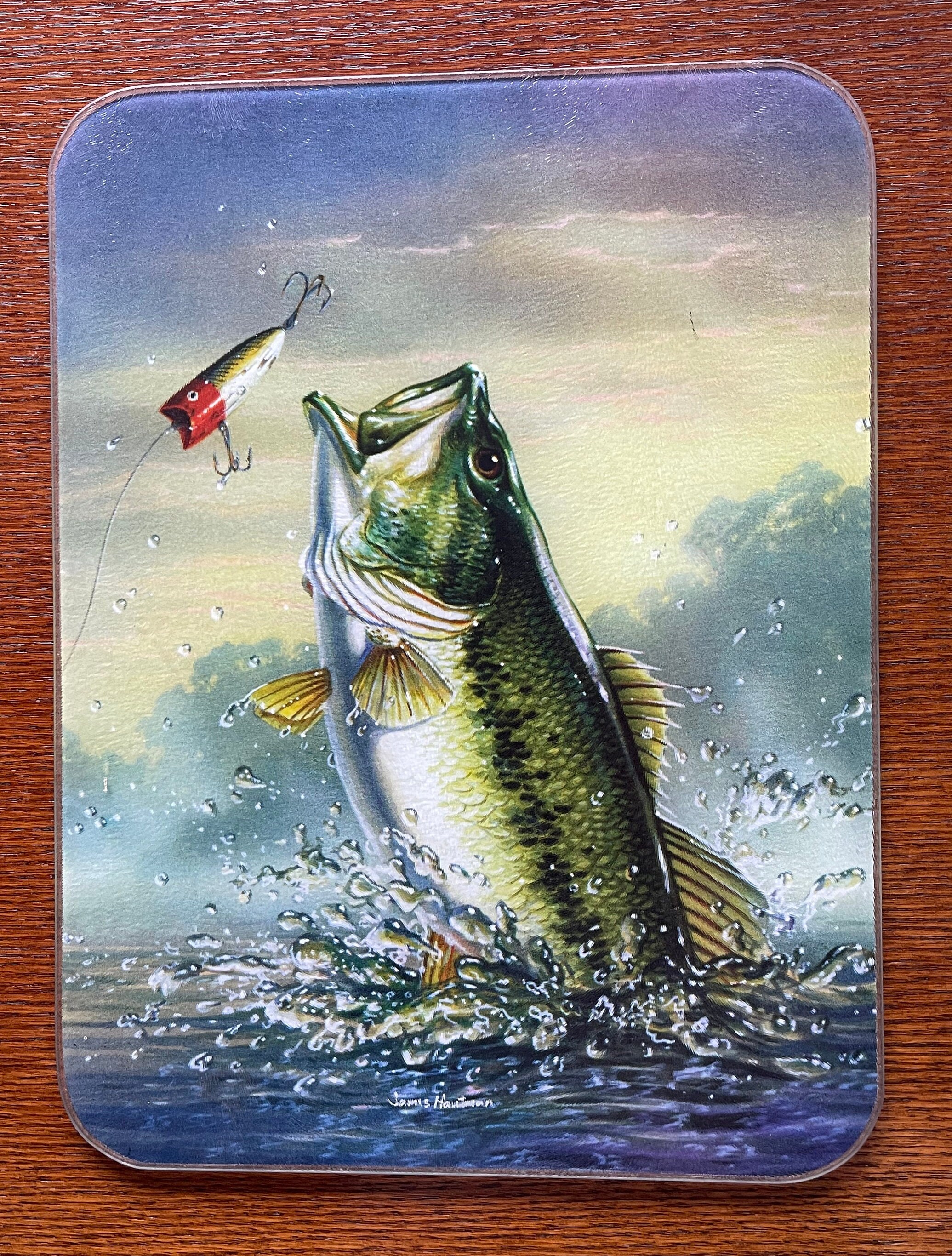 Vintage Bass Fish Glass Cutting Board Made in England - Etsy