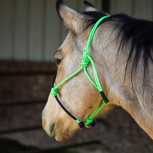 Rope Noseband Halter - Etsy