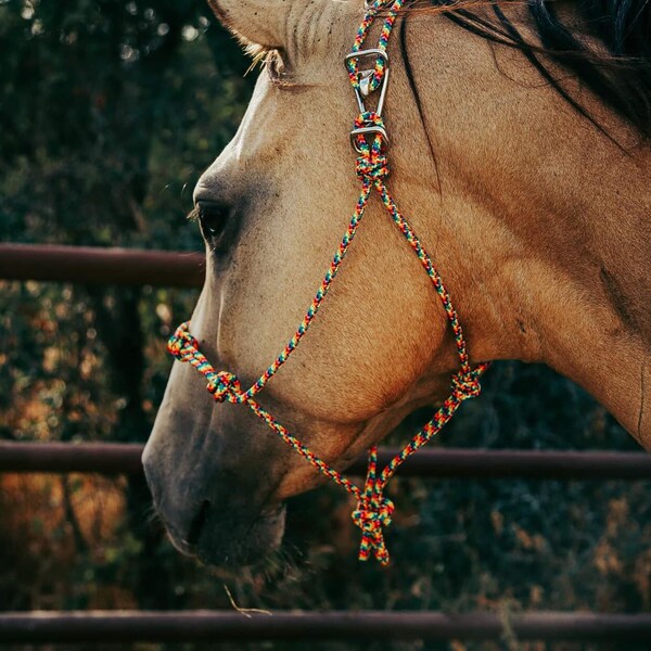 Rope Halter - Etsy