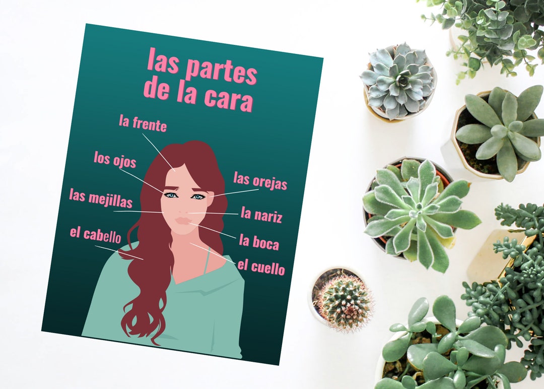 Parts of the Face in Spanish Partes De La Cara Body Parts Spanish ...