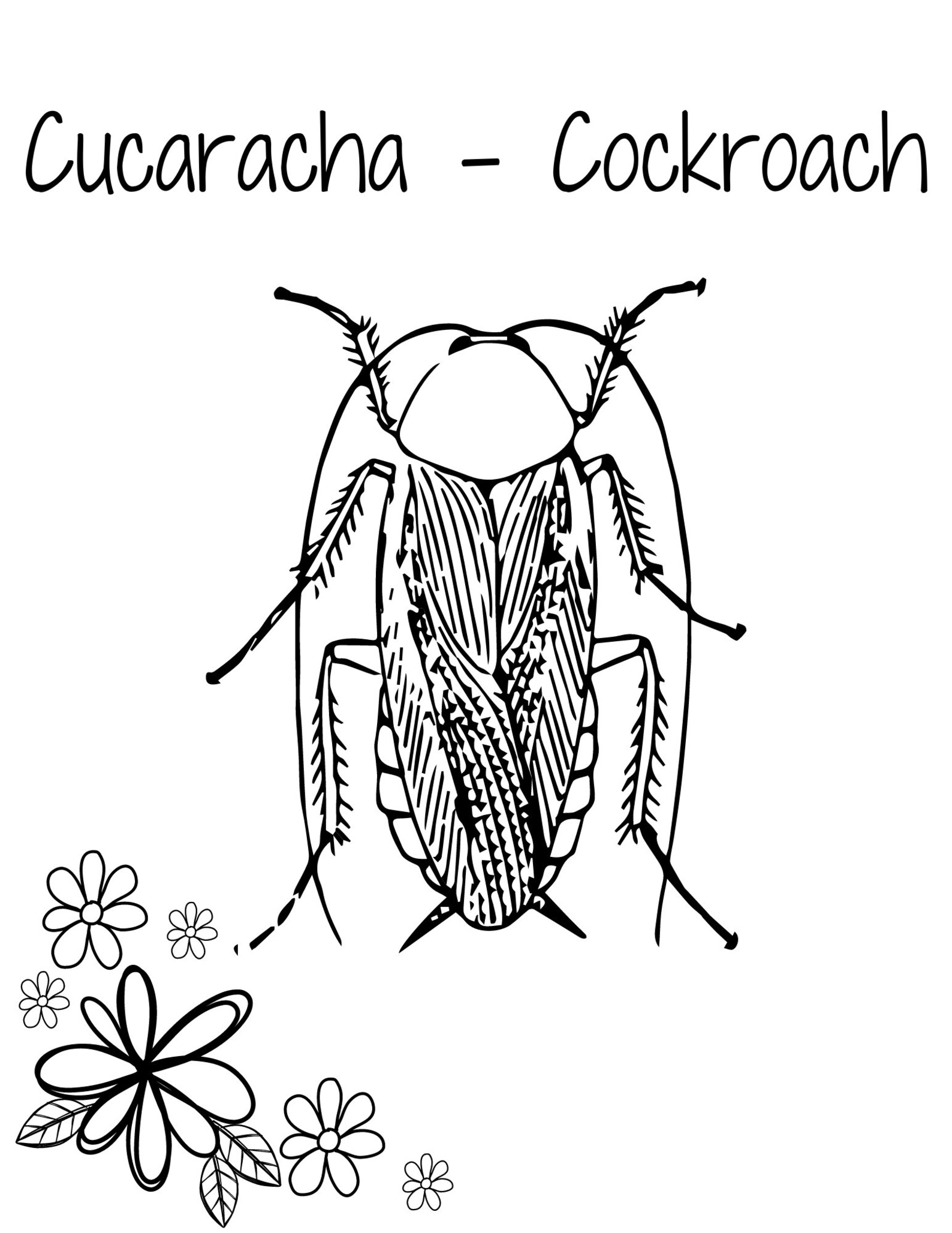 Cucaracha – Cockroach Coloring Worksheet in Spanish Prechool Bugs ...