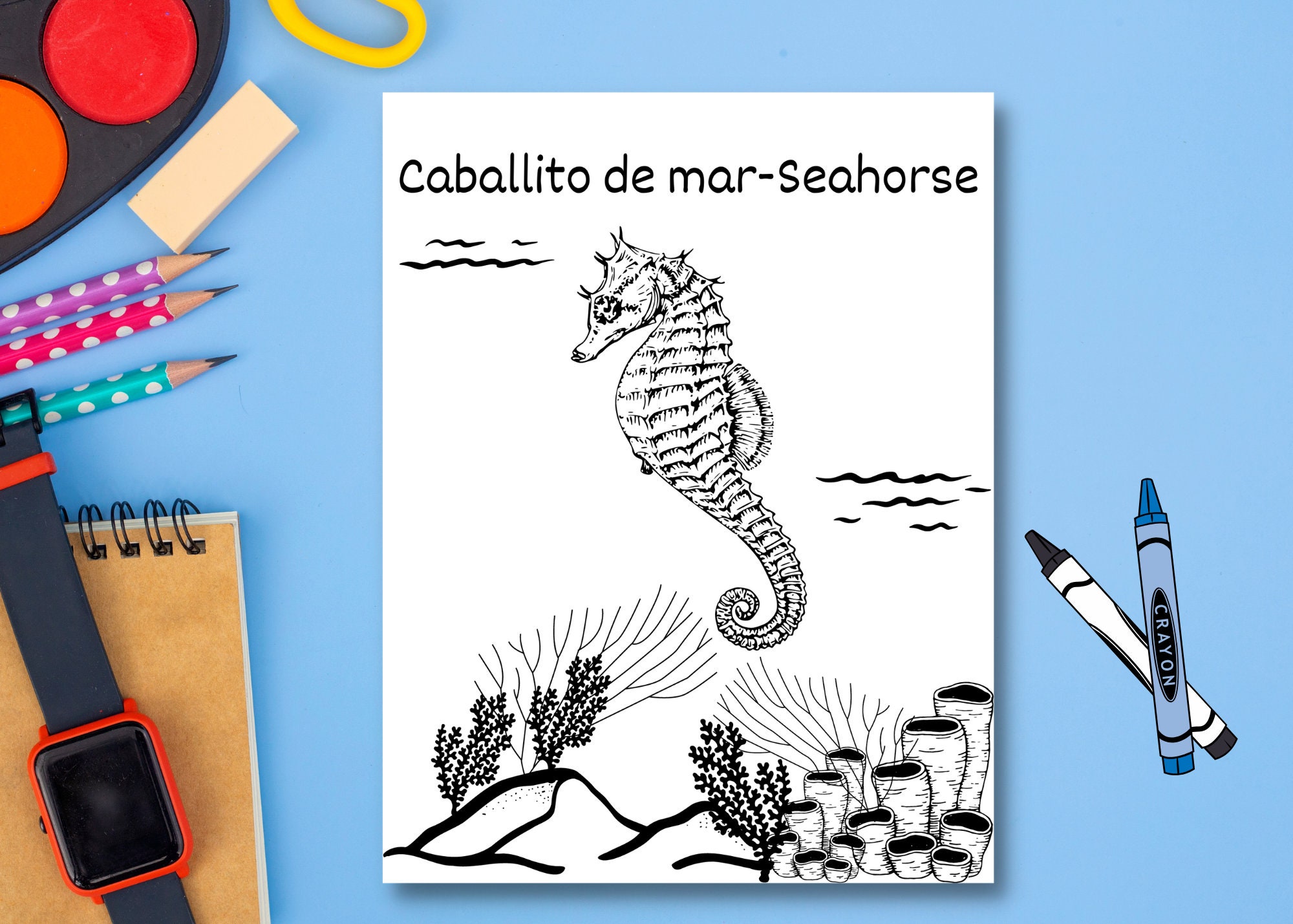 Caballito De Mar Seahorse - Etsy