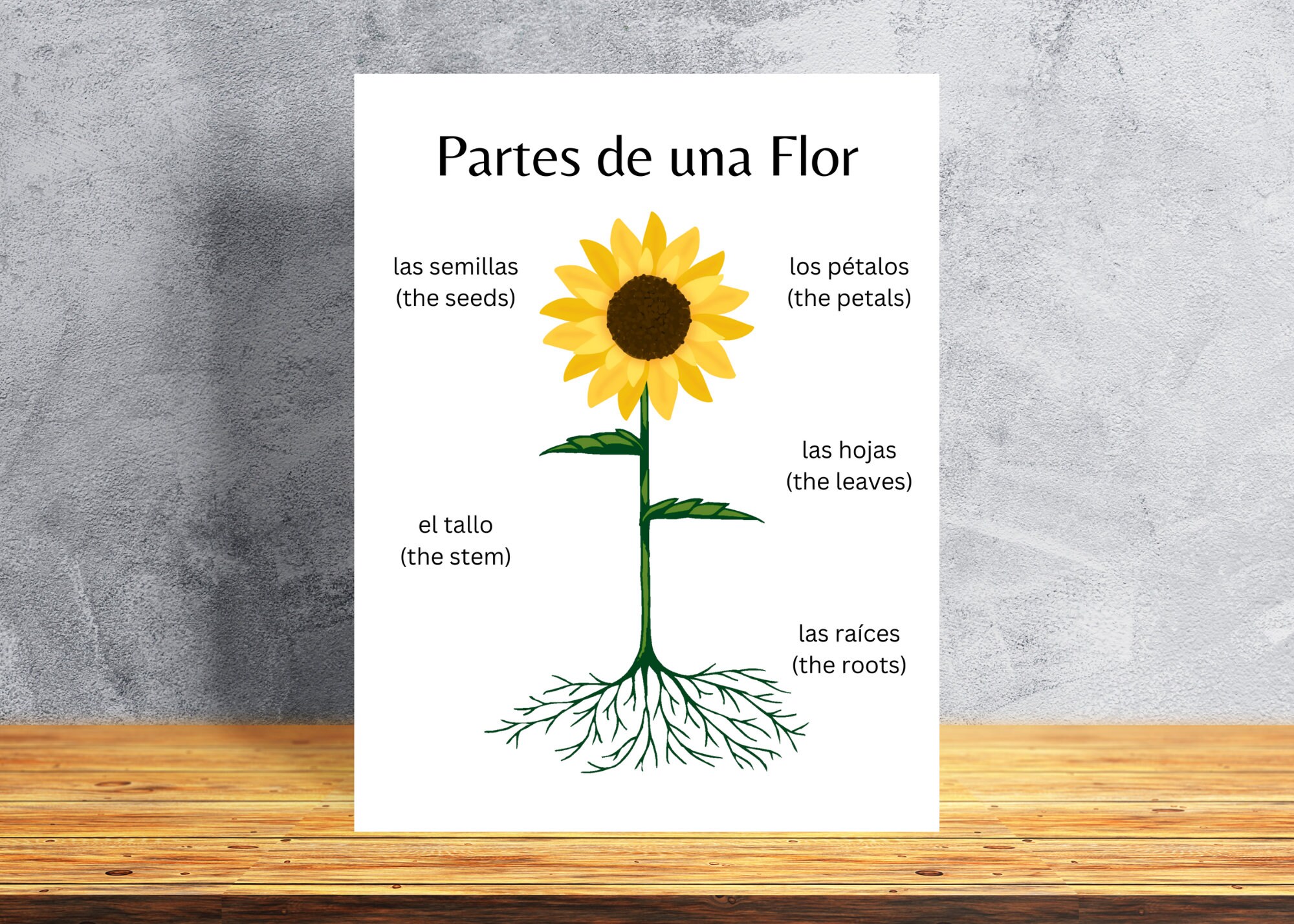 Partes De Una Flor Wall Art Archivo Digital Science Printable Parts of ...