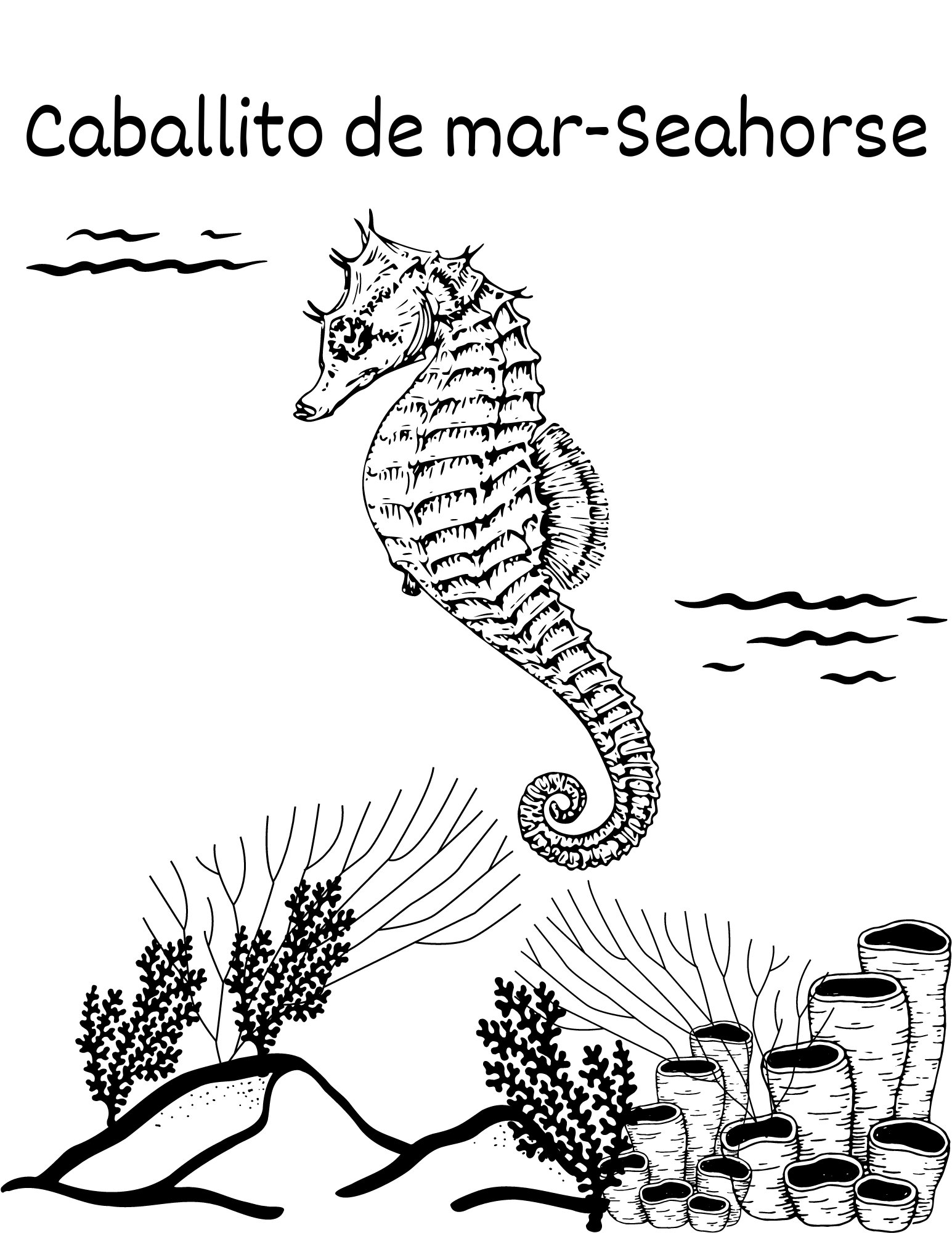 Caballito De Mar Seahorse - Etsy