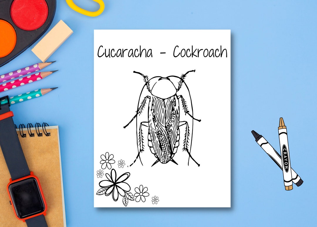 Cucaracha – Cockroach Coloring Worksheet in Spanish Prechool Bugs ...