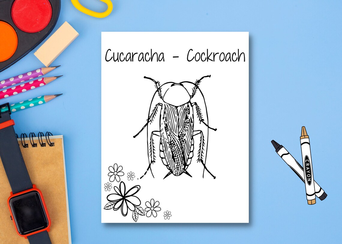Cucaracha – Cockroach Coloring Worksheet in Spanish Prechool Bugs ...