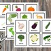 Las Verduras Flashcards Printables Vegetables in Spanish Spanish ...