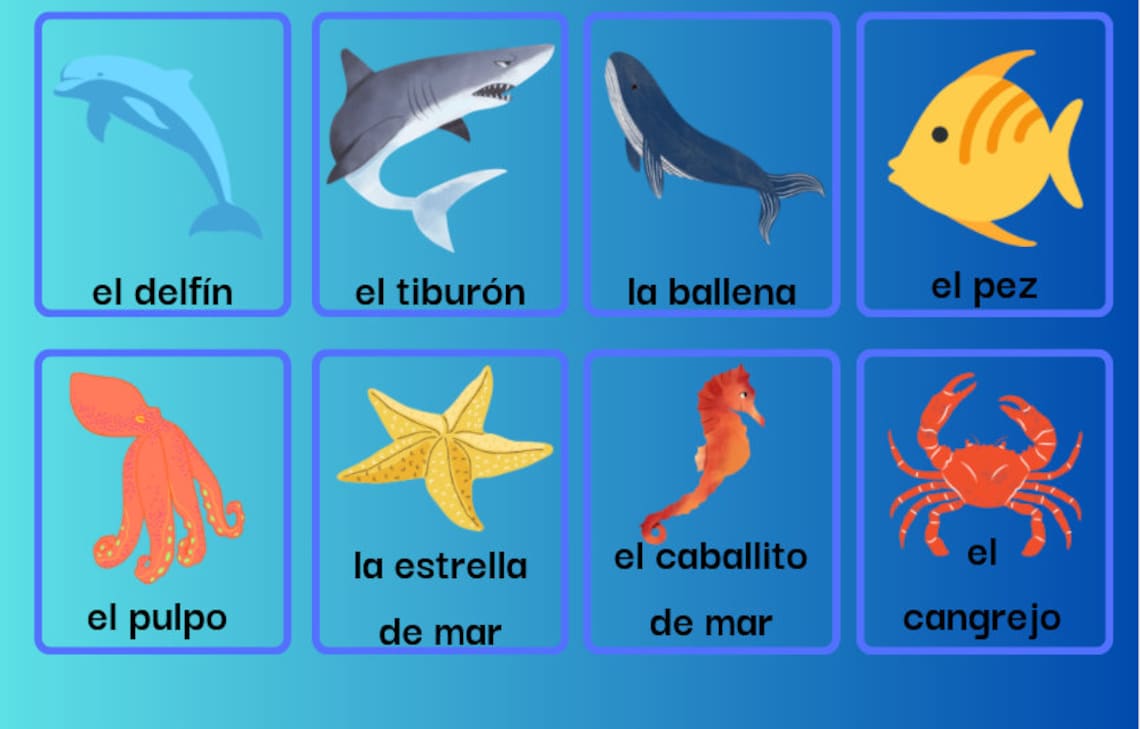 Sea Animals Spanish Flashcards Preschool Sea Creature Cards Learning ...