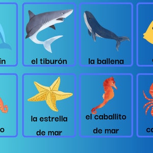 Sea Animals Spanish Flashcards Preschool Sea Creature Cards Learning ...