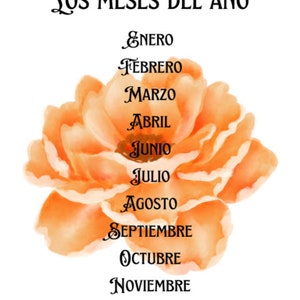 Los Meses Del Año Printable Months of the Year in Spanish Calendar ...