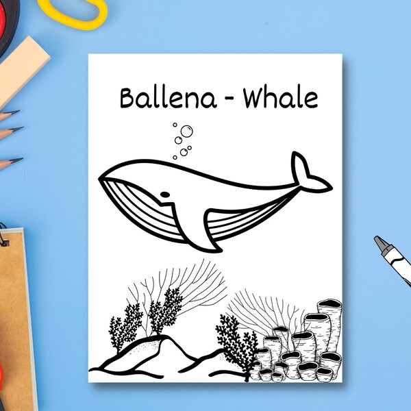 Ballena - Etsy