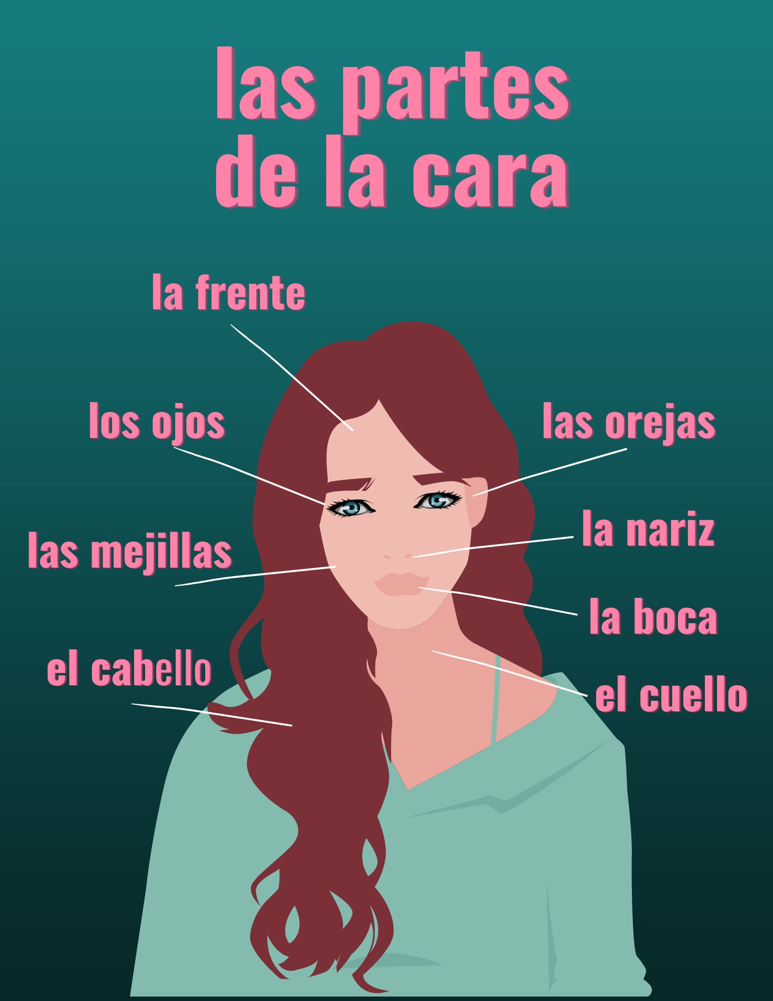Parts Of The Face In Spanish