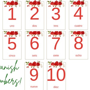 Spanish Numbers 1-10 Flashcards Rose Flashcards Count to Ten in Spanish ...