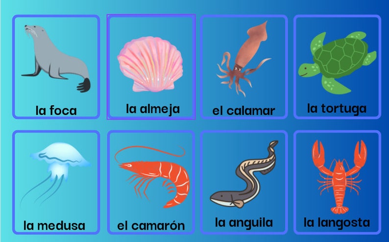 Sea Animals Spanish Flashcards Preschool Sea Creature Cards Learning ...