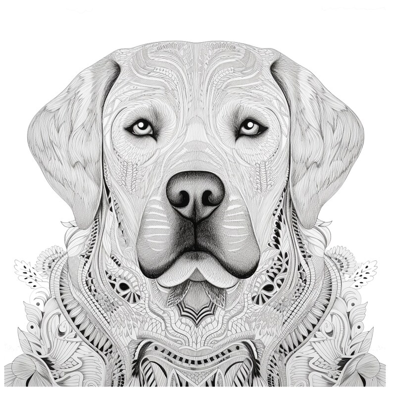 50 Dogs Face Coloring Pages / Digital Download / Printable Coloring ...