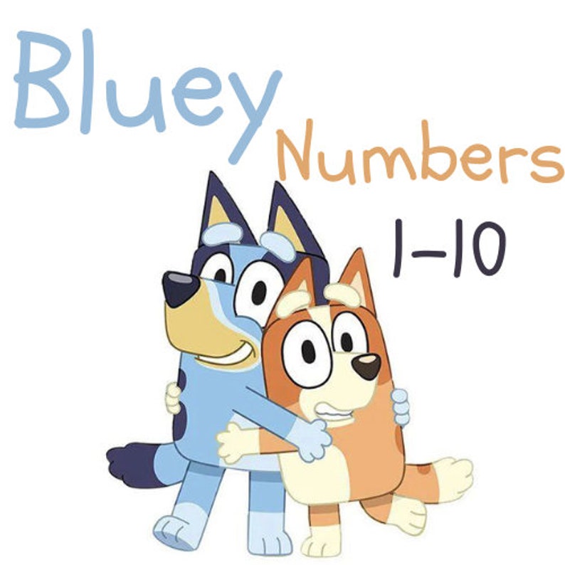 Counting Numbers bluey Theme - Etsy