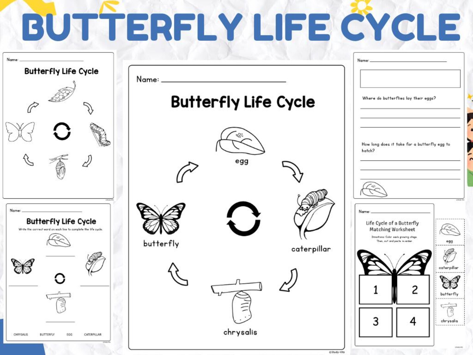 20 Pages Butterfly Life Cycle Learning,kids Workbook,preschool ...