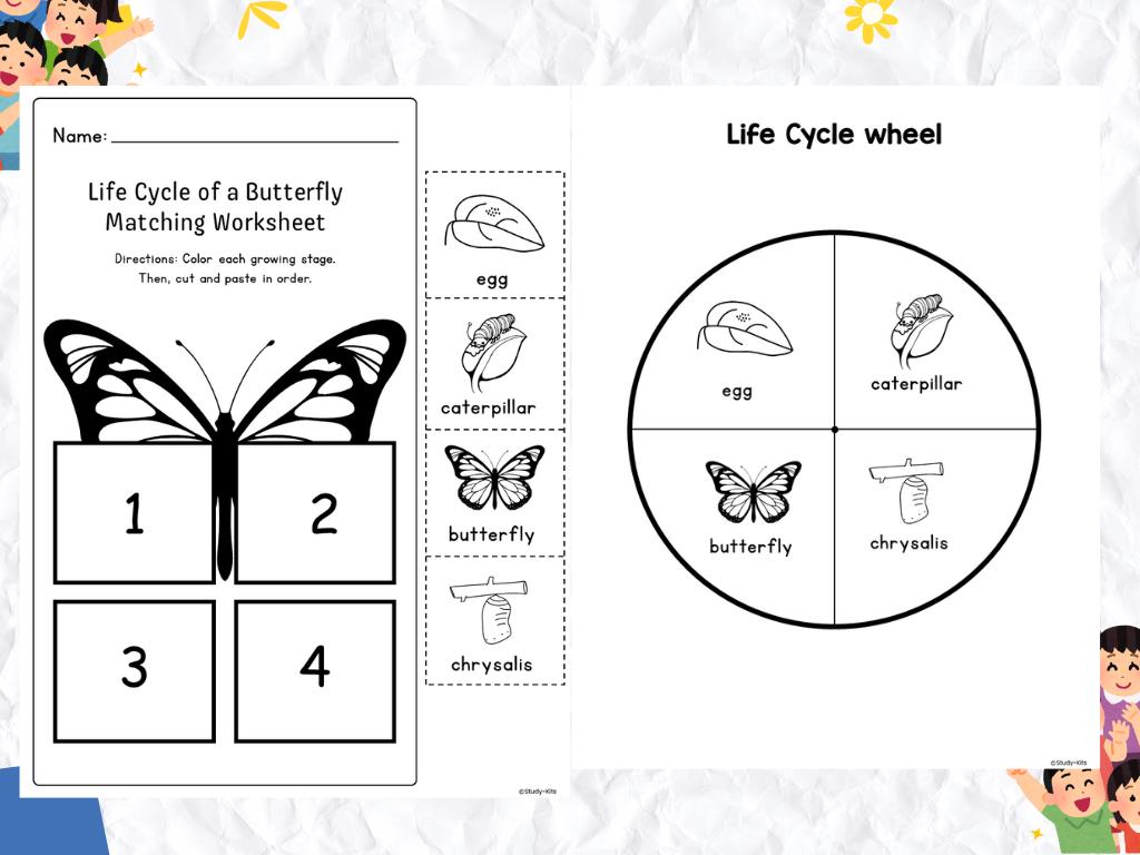 20 Pages Butterfly Life Cycle Learning,kids Workbook,preschool ...