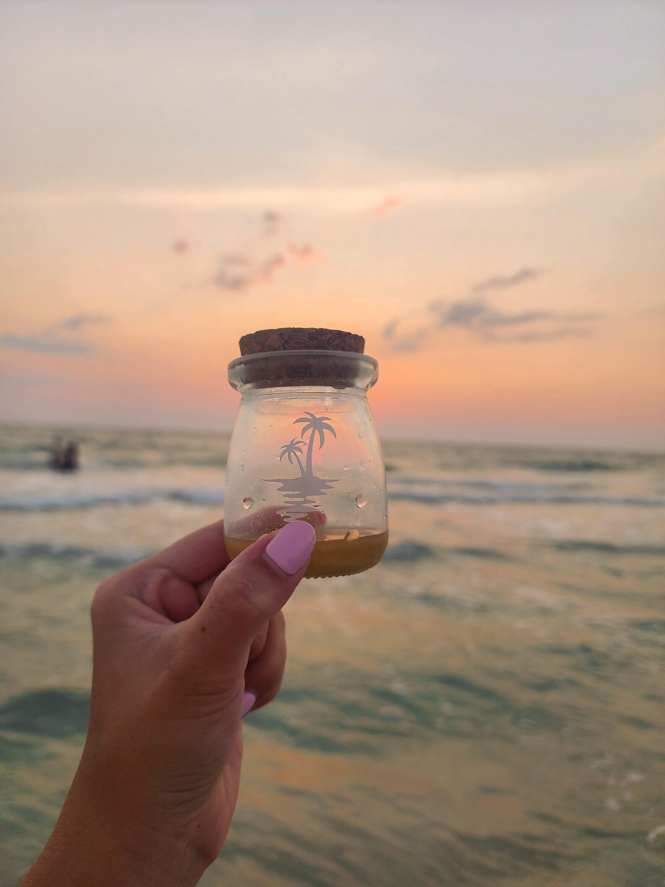 Mini Jar- Beach Combing-sharktooth-palm Island-seashell - Etsy