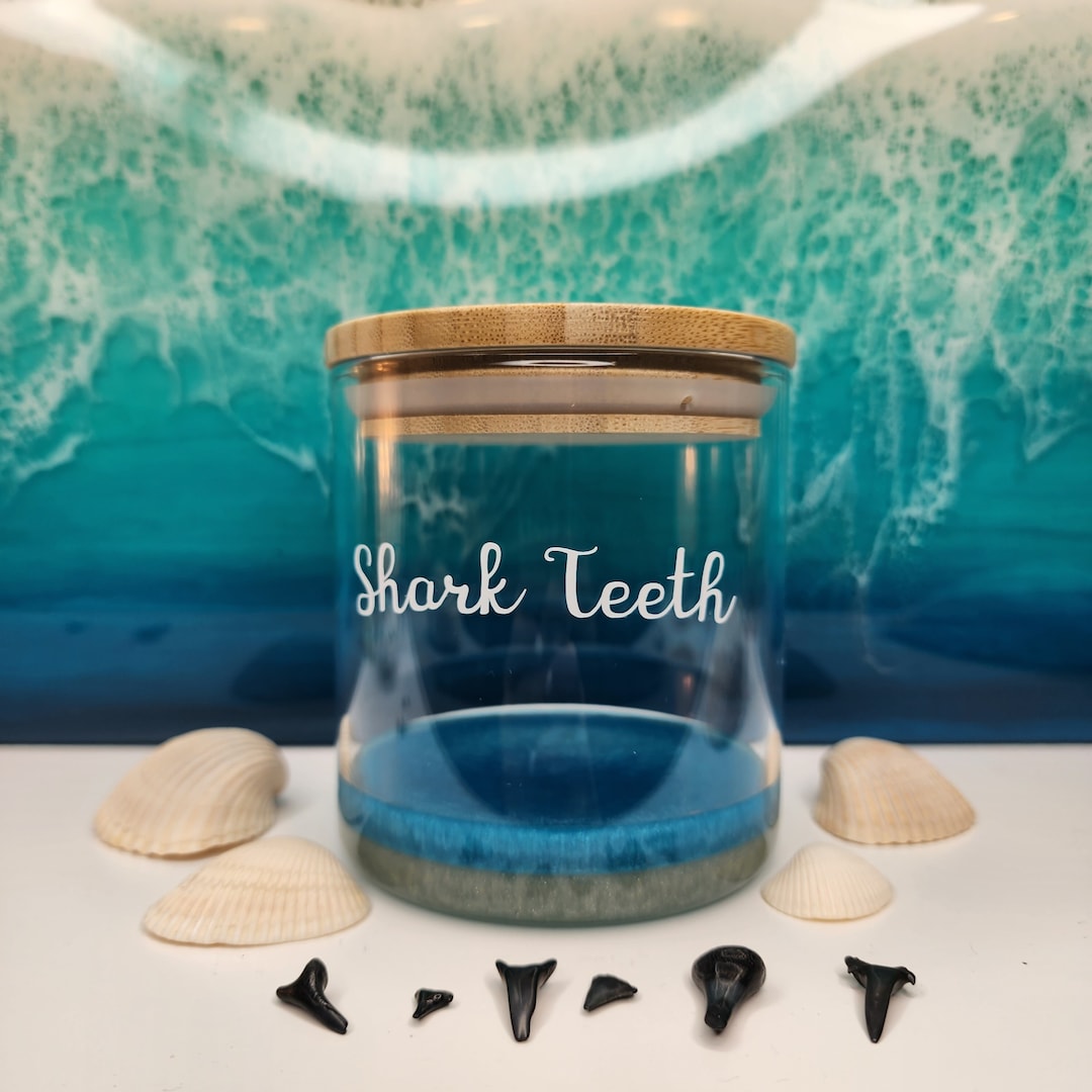 White Sand Shark Tooth Jar beach-collection-display Custom-ocean-finds ...