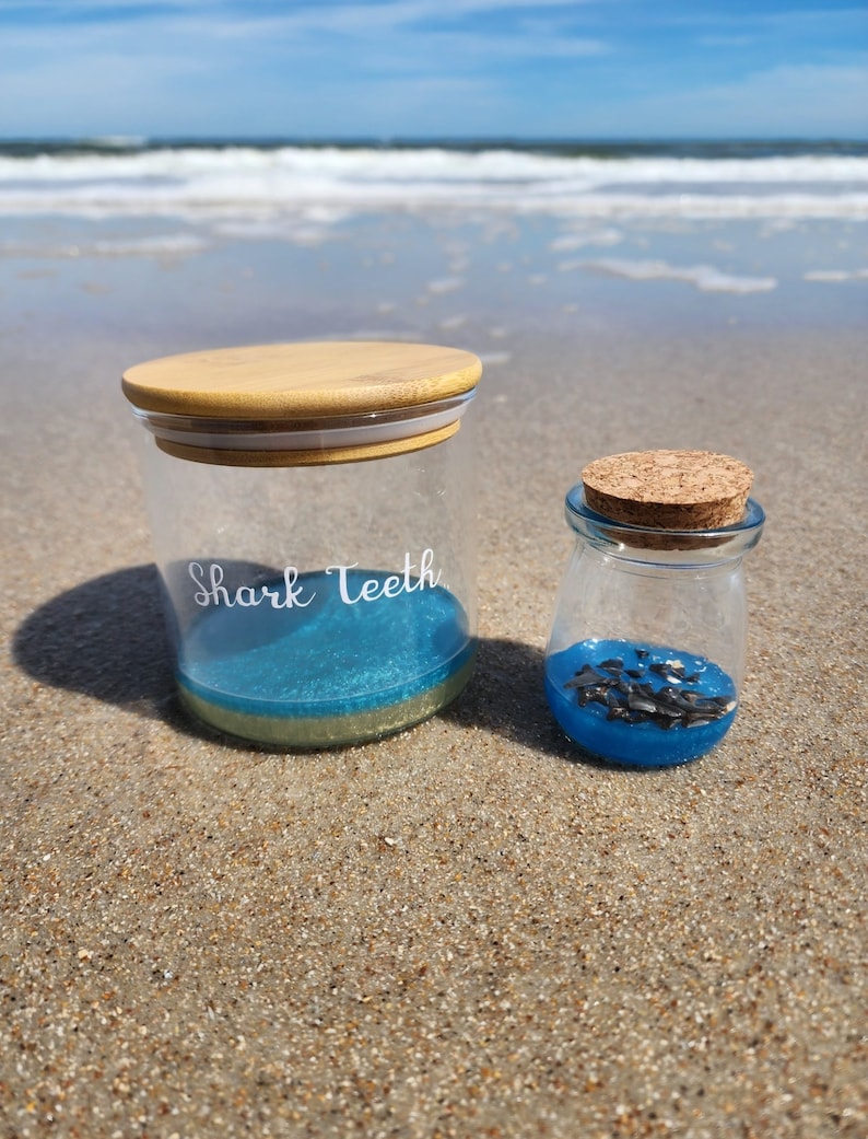 Sarasota Blue Shark Tooth Jar -beach-collection-display- Custom-ocean ...