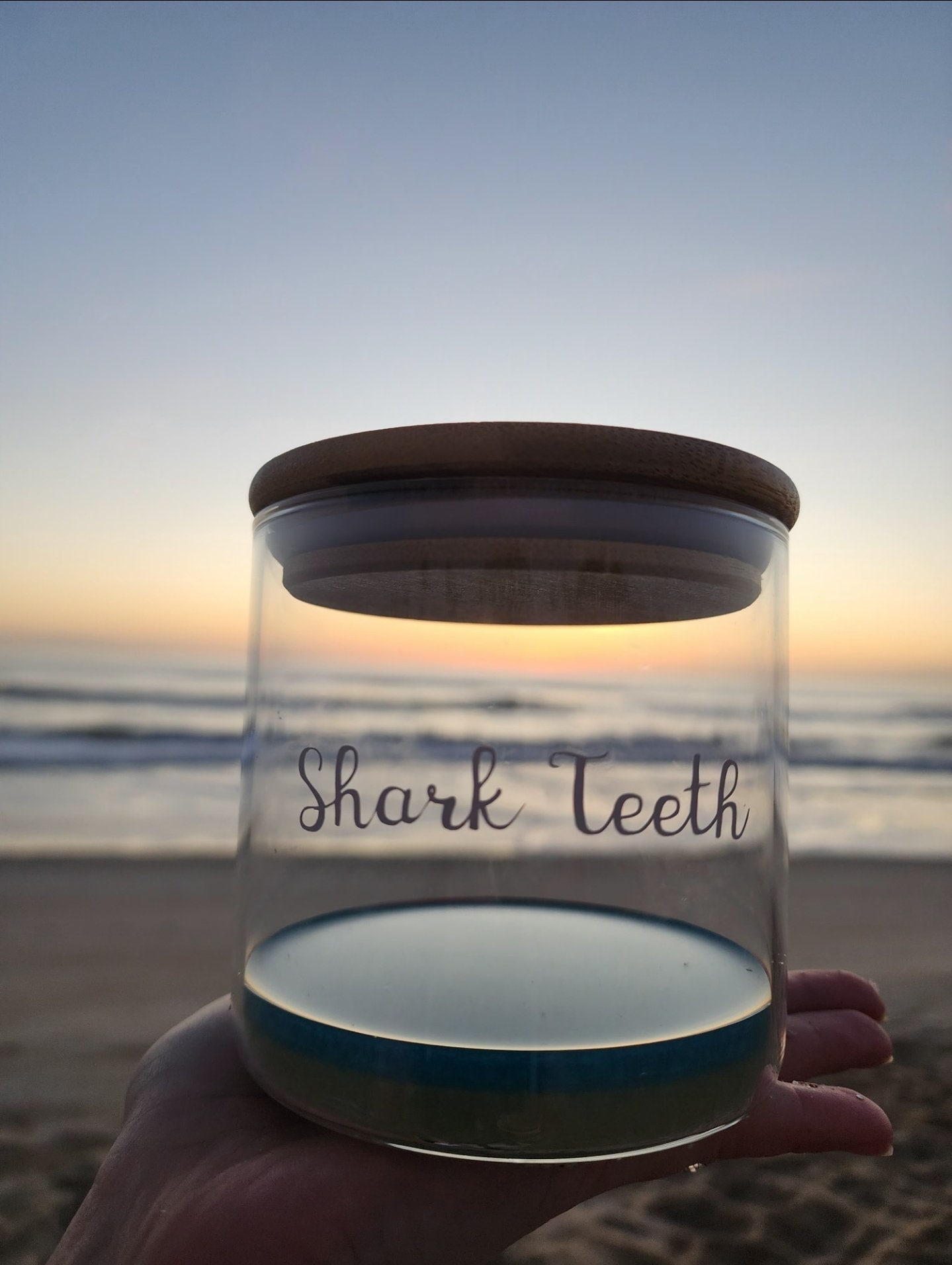 Sarasota Blue Shark Tooth Jar -beach-collection-display- Custom-ocean ...