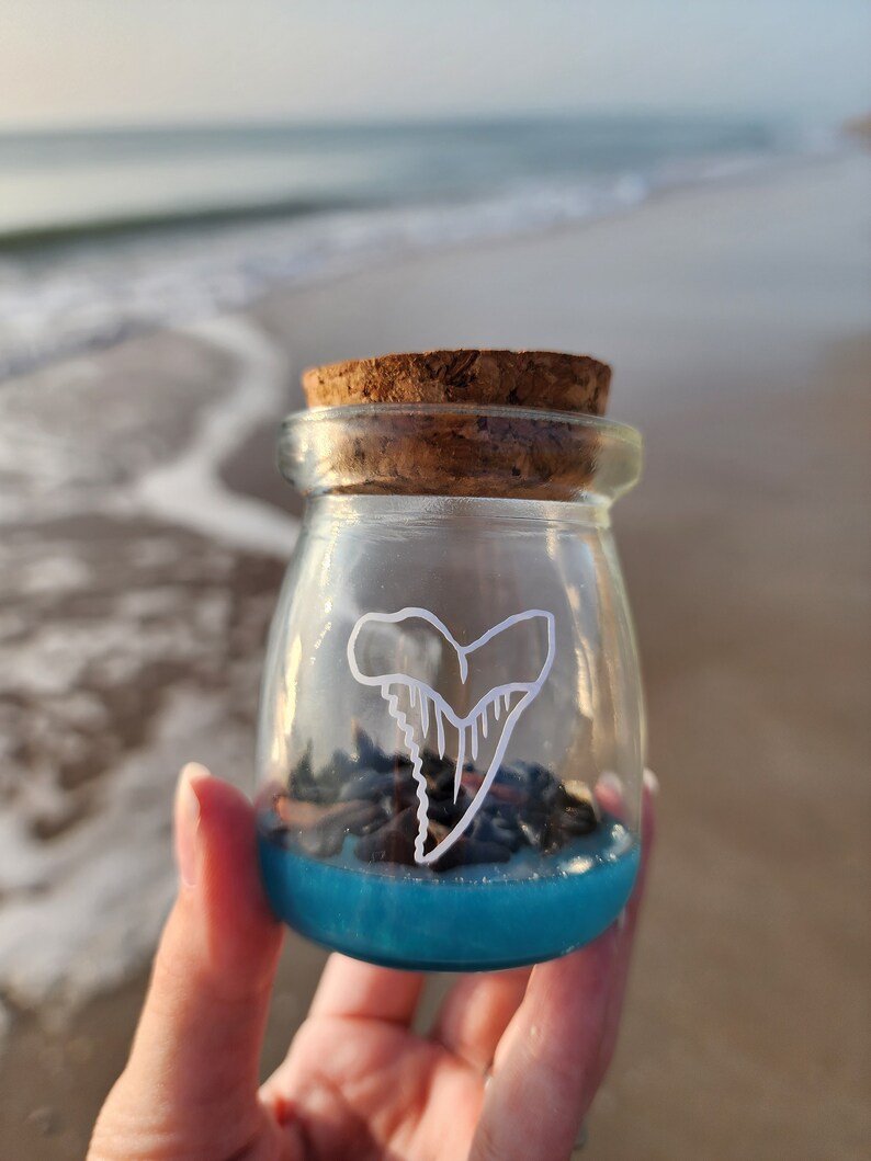 Mini Jar- Beach Combing-sharktooth-palm Island-seashell - Etsy