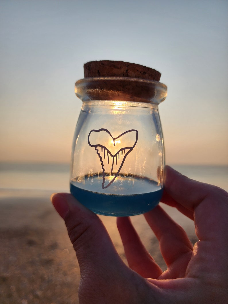 Mini Jar- Beach Combing-sharktooth-palm Island-seashell - Etsy