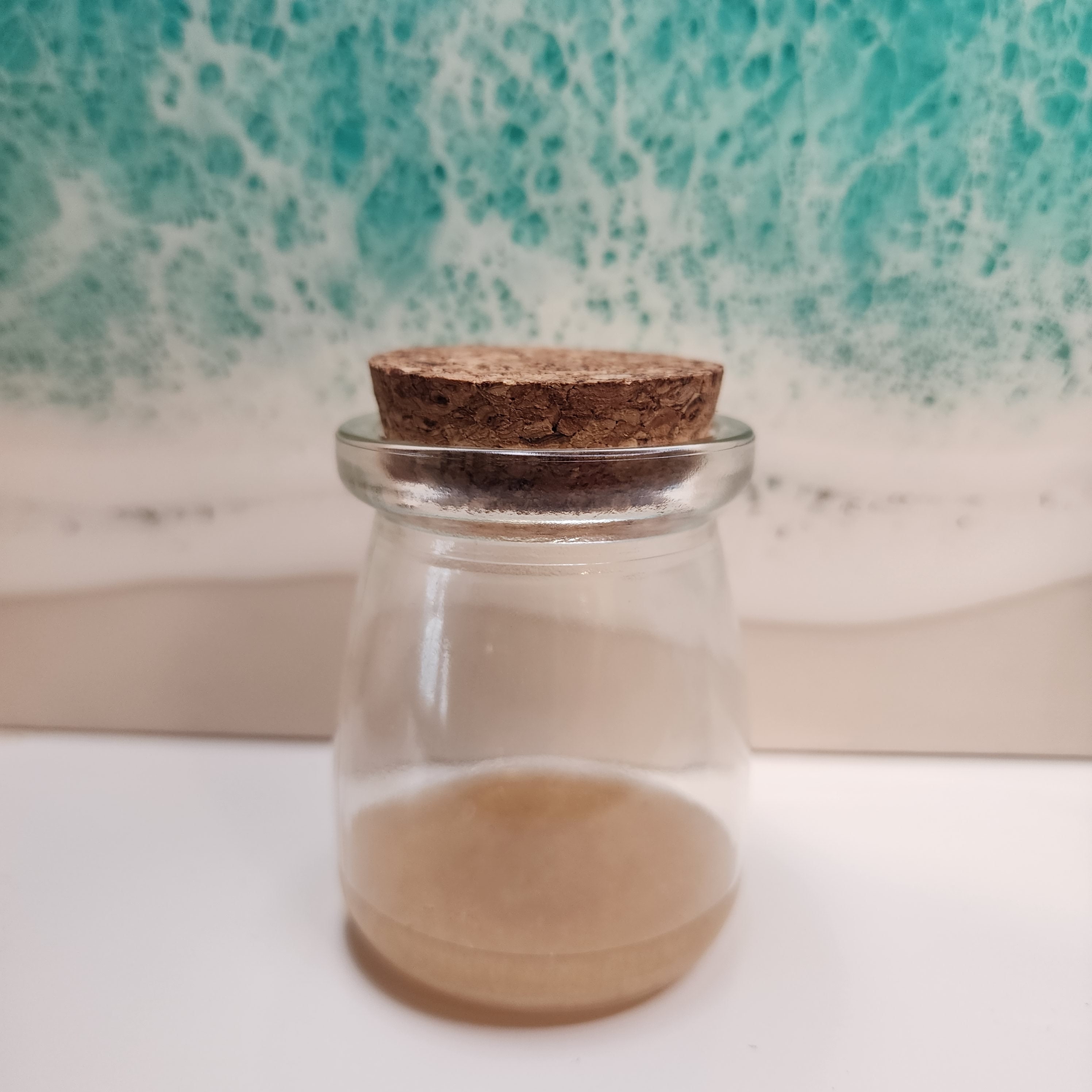 Mini Jar- Beach Combing-sharktooth-palm Island-seashell - Etsy