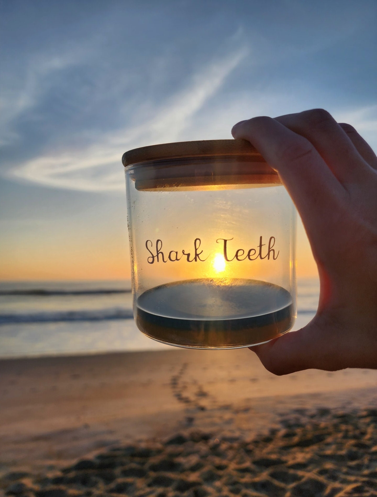 Sarasota Blue Shark Tooth Jar -beach-collection-display- Custom-ocean ...