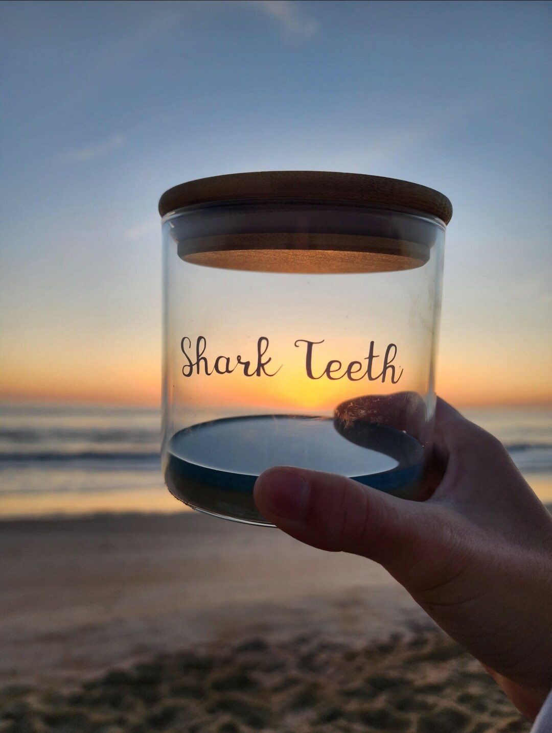 Sarasota Blue Shark Tooth Jar -beach-collection-display- Custom-ocean ...