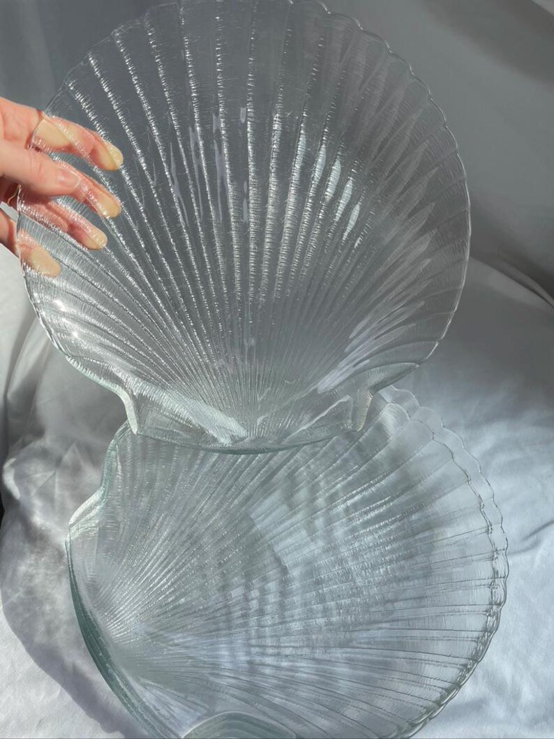 Vintage Glass Seashell Dinner Plates by Coquillage by Arcoroc, Set of 4 ...