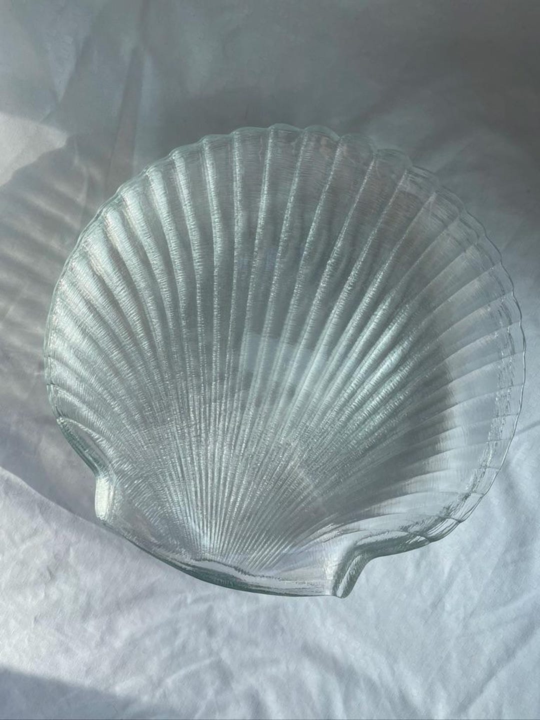 Vintage Glass Seashell Dinner Plates by Coquillage by Arcoroc, Set of 4 ...
