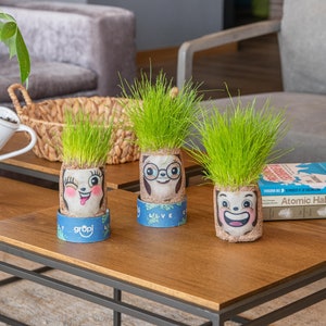 Meet Smile Grass Head Toy Grow, Fun, and Protect the Tropical ...