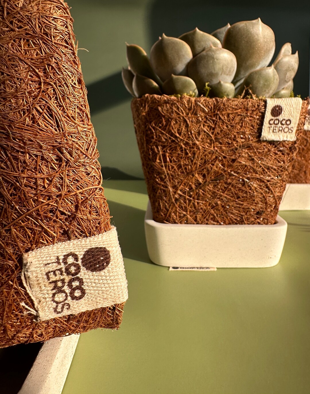 SHORT Plant Pot Concrete Stand. Ecological Flower Pot. Coconut Planter ...